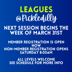 Home - Pickledilly Skokie